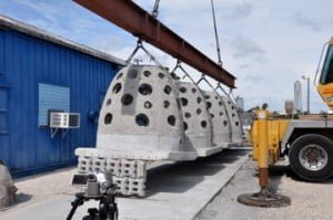 Reef Innovations – Worldwide contractor for designed reef systems and ...