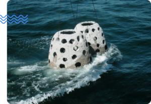 Worldwide Reef Ball Contractor | Marine Ecosystem Restoration
