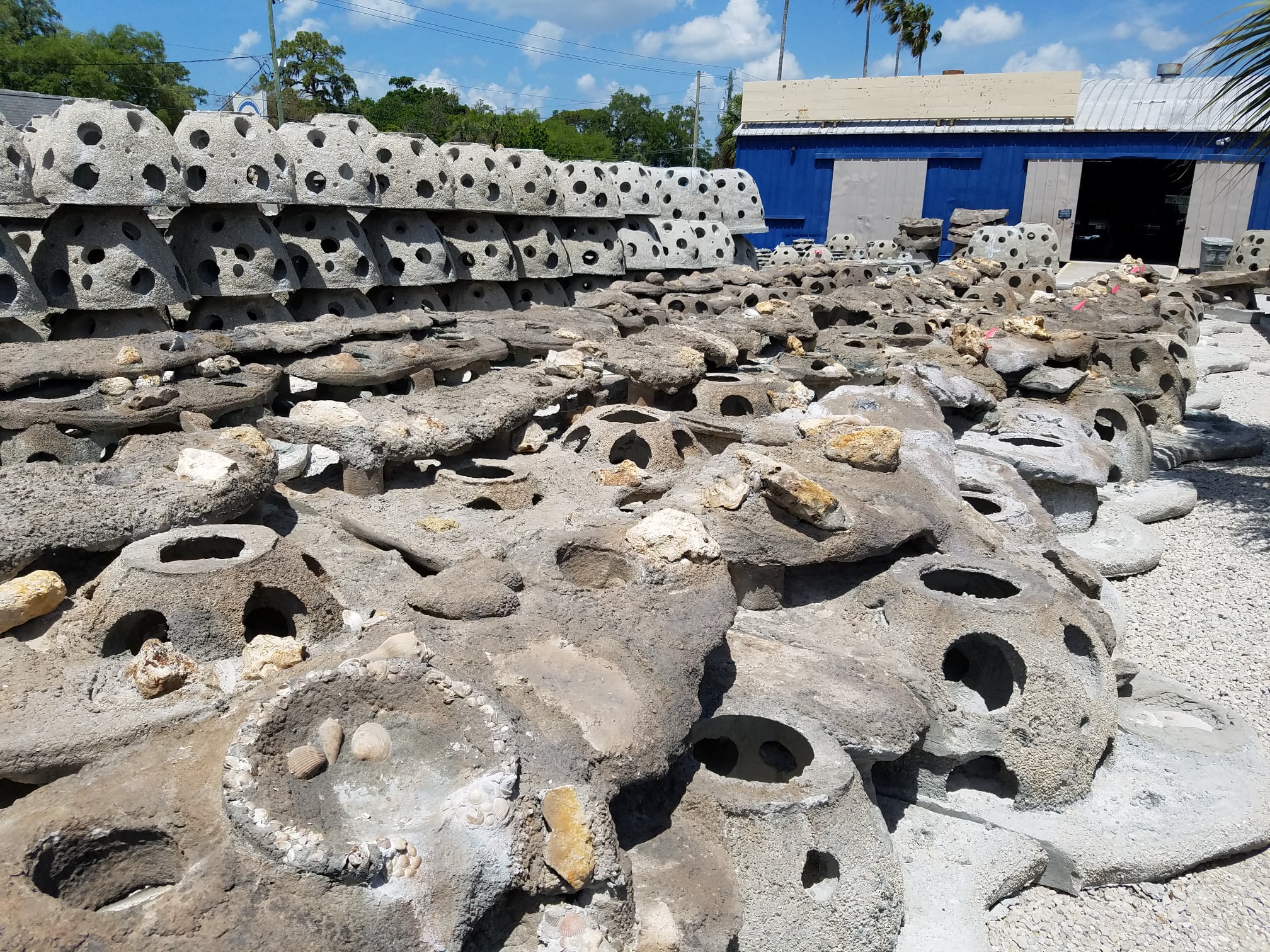 Restore Marine Habitats with Reef Innovations | Oyster Reef Balls